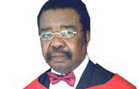 Akinyemi: The big honour - Vanguard News