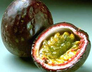 A Passion Fruit a day, makes you sleep better - Vanguard News