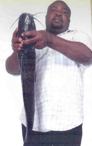 Become self-employed, earn a living with fish farming - Farmer ...