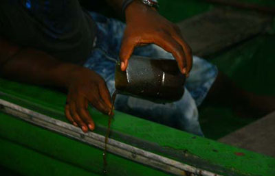 The curse of oil - Vanguard News