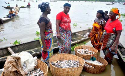 ‘100,000 jobs lost to fish importation’ - Vanguard News