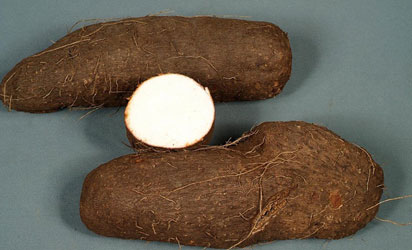 New project to boost yam production in West Africa - Vanguard News