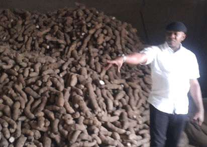 Ndoma– Egba: The senator as the ‘farm boy’ - Vanguard News