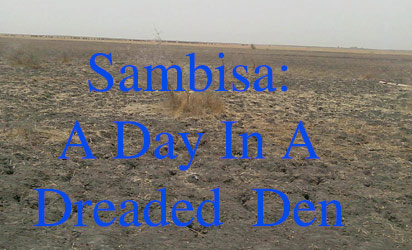 Sambisa: A Day In A Dreaded Den - Vanguard News