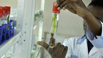 SDGs: African scientists bemoan lack of R&D - Vanguard News