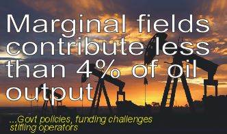 Marginal fields contribute less than 4% of oil output - Vanguard News