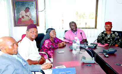 Why Igbo are holding cultural festival in Lagos – Ohanaeze - Vanguard News