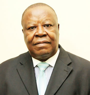 Ezeagu, others explain ASHON’s new status - Vanguard News