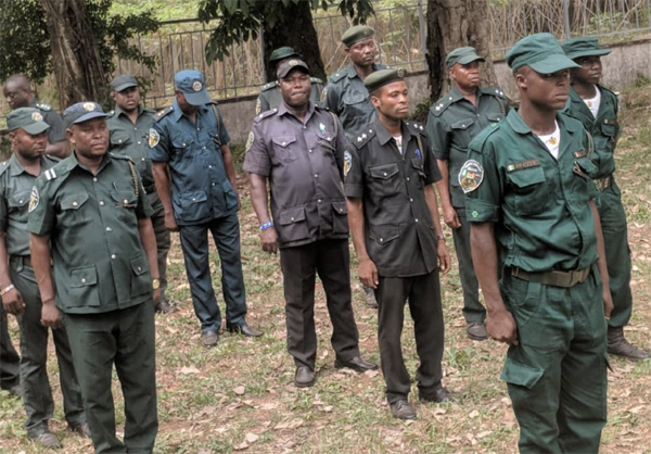Deforestation: Edo govt charges forest patrol team on intensified ...
