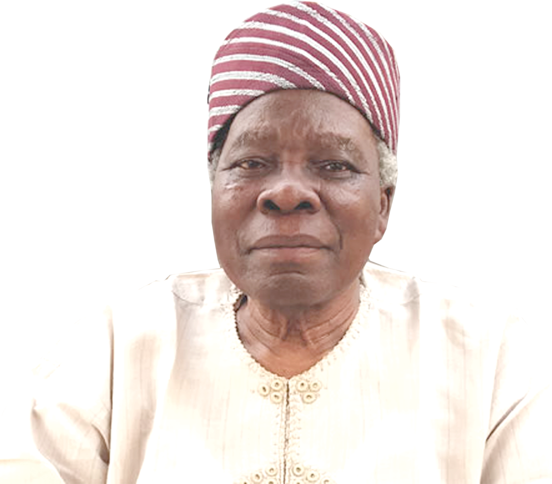 It's absurd to have 91 political parties – Prof. Akintoye - Vanguard News