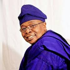 Ondo 2020: Adetula throws hat in the ring - Vanguard News