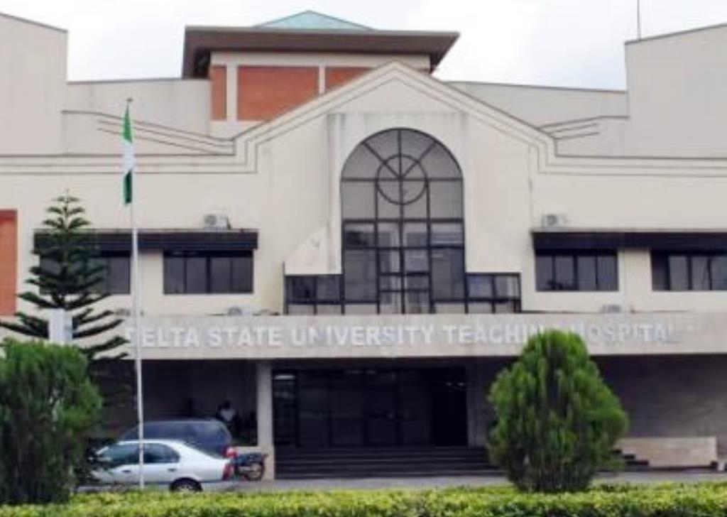 Resident Doctors decry slow pace of work at DELSUTH's clinical building