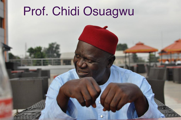 Ohanaeze Ndigbo: Why the cap fits Professor Chidi Osuagwu