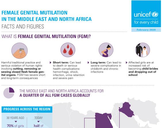 Stiff penalty awaits perpetrators of FGM practice ― UNICEF, NOA warn