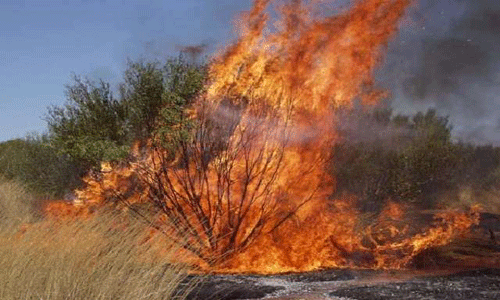Kwara loses N27.6m property to bush burning - Vanguard News